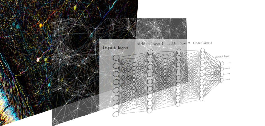 Deep Trading with TensorFlow V - TodoTrader